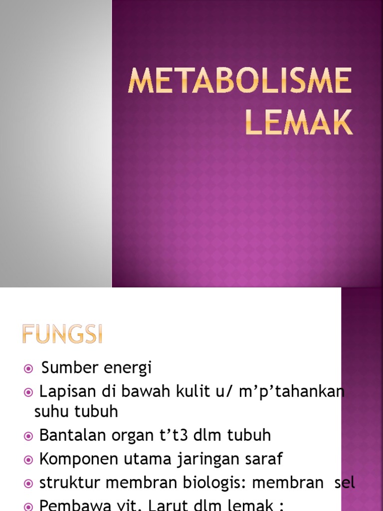 Metabolisme Lemak | PDF