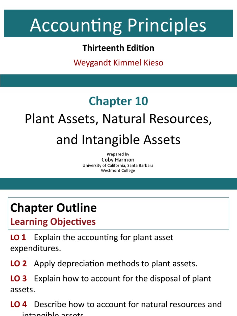 Accounting Principles: Plant Assets, Natural Resources, and Intangible ...