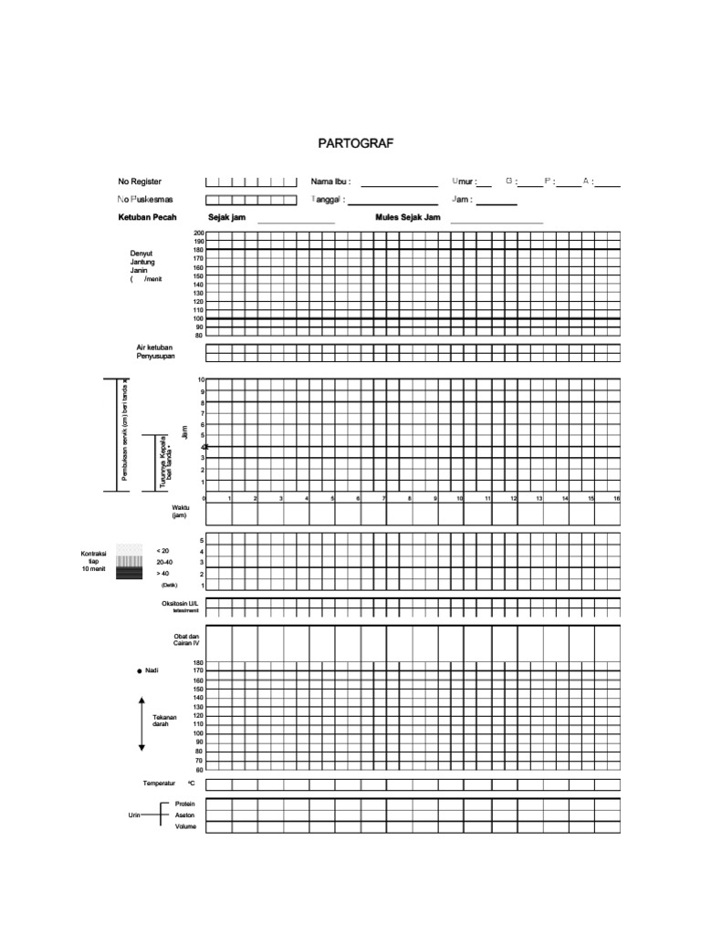 Partograf-Kosong PDF | PDF