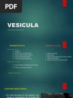 Clasificacion de Nassar | PDF