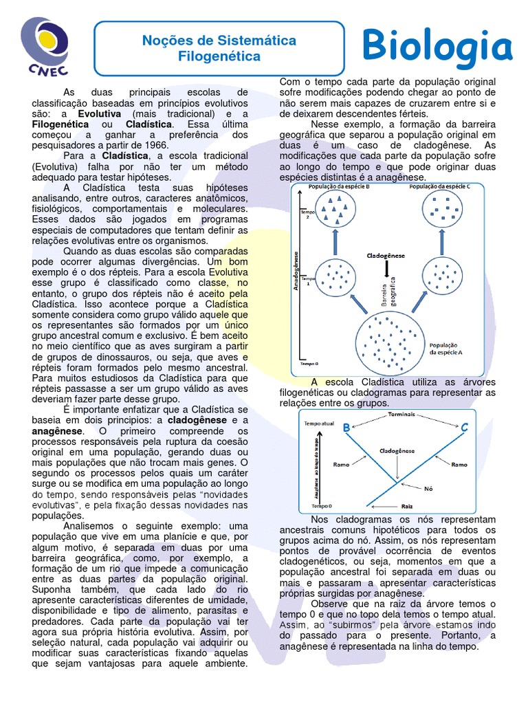 Nocoes Sistematica Filogenetica PDF | PDF | Filogenética | Espécies