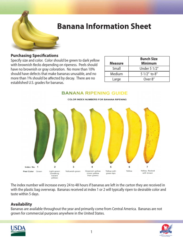 Bananas | PDF | Banana | Refrigerator