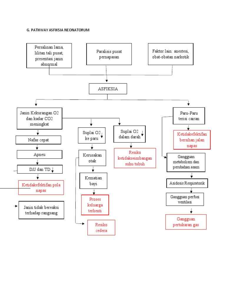 Pathway Asfiksia | PDF