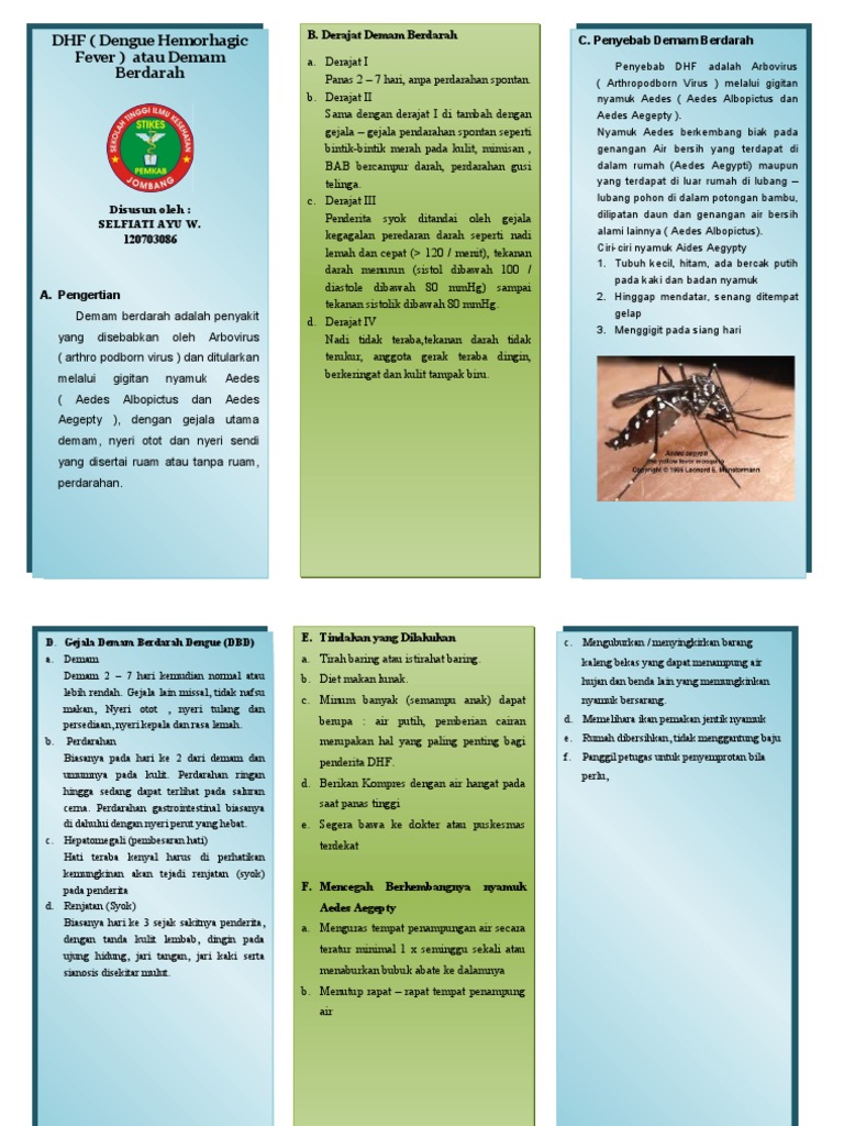 LeafLet DHF | PDF