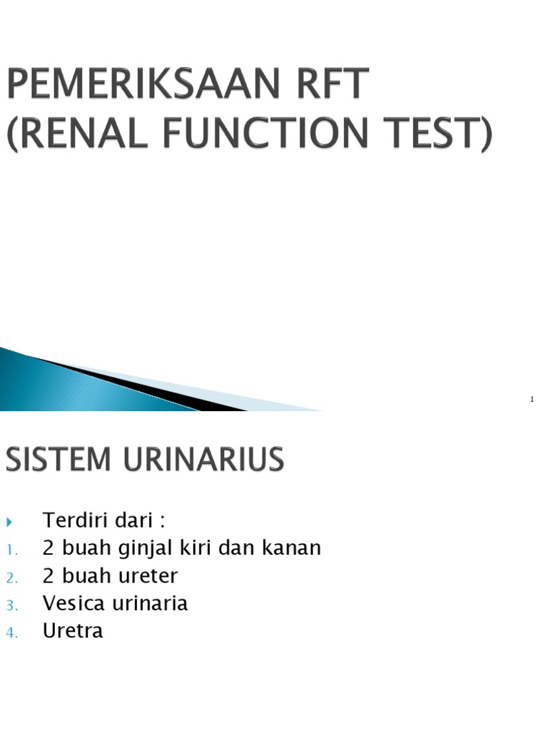 Pemeriksaan Ginjal RFT | PDF