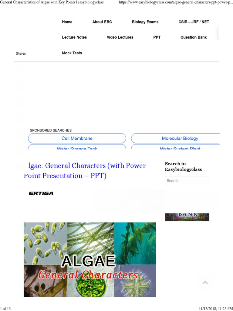 General Characteristics of Algae With Key Points - Easybiologyclass ...