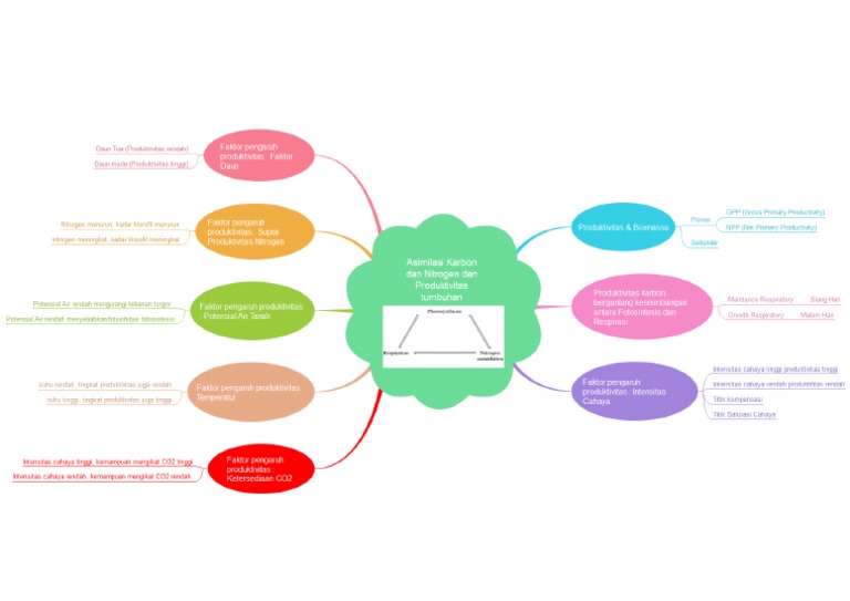 Mind Map Asimilasi Karbon Dan Nitrogen Dan Produktivitas Tumbuhan | PDF
