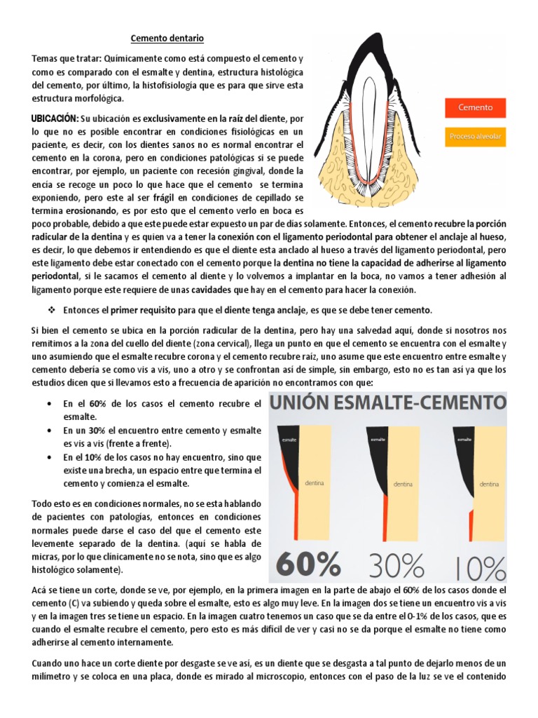 Cemento dentario (1).docx | Esmalte de dientes | Diente