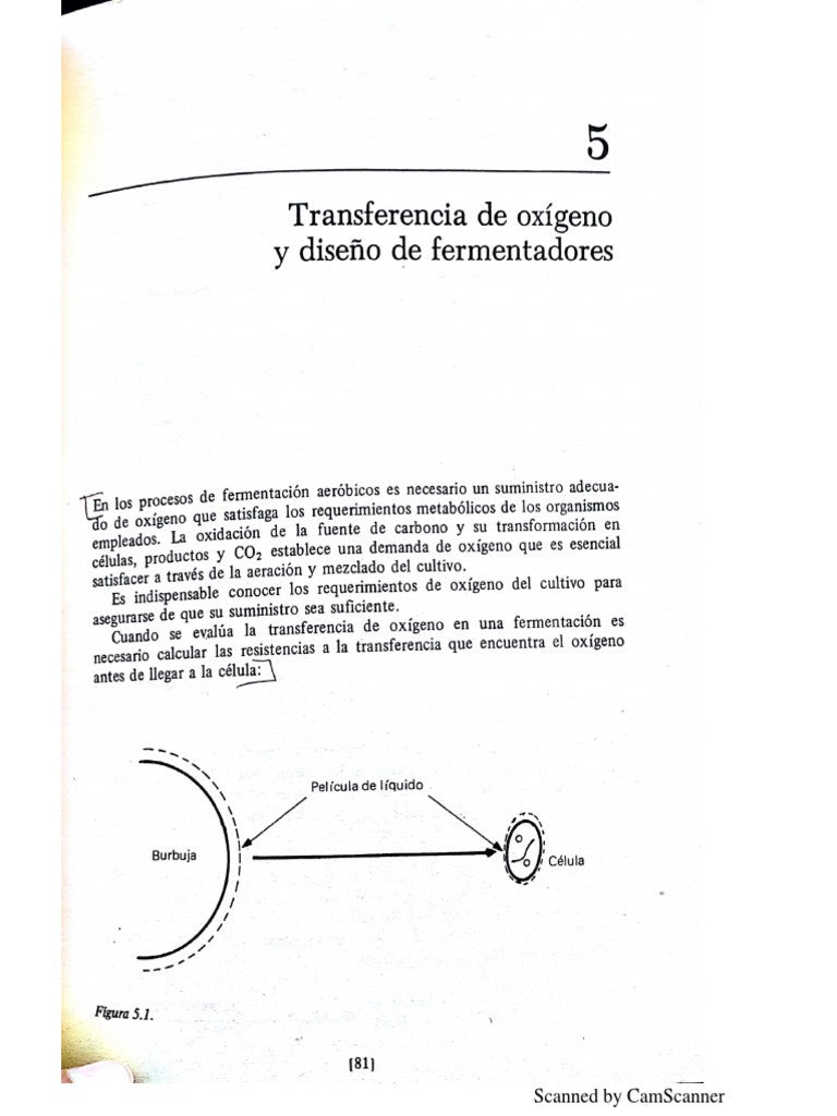 A collection of blank pages scanned by CamScanner without discernible ...