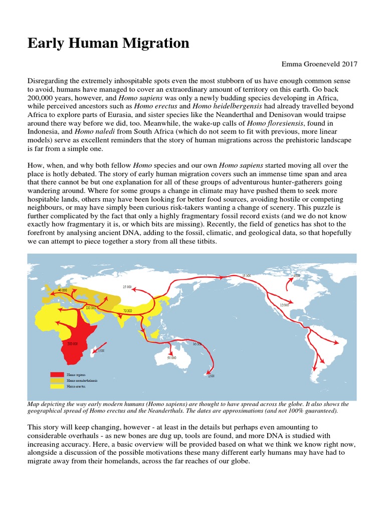 Overview of Early Human Migration | PDF | Homo | Human Evolution