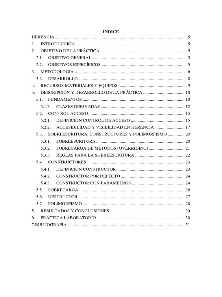 Informe Herencia | PDF | Constructor (Programación Orientada a Objetos) | Programación