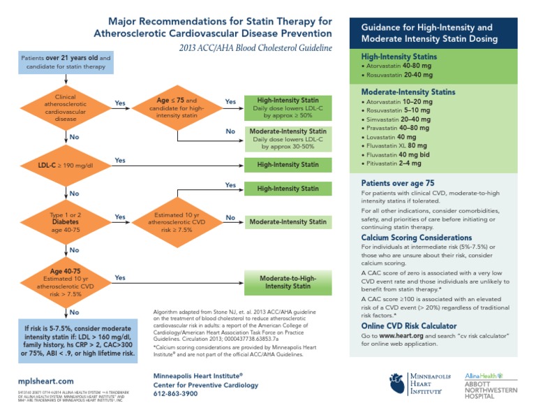 Algoritma Statin | PDF | Statin | Cardiovascular Diseases