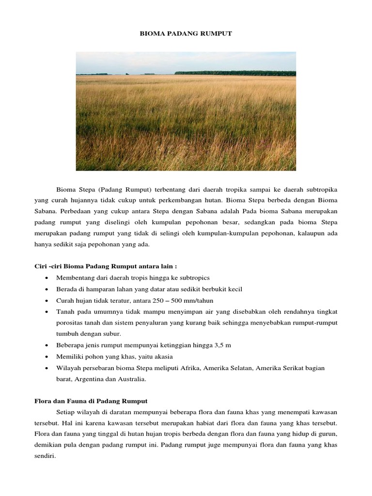 Bioma Padang Rumput | PDF
