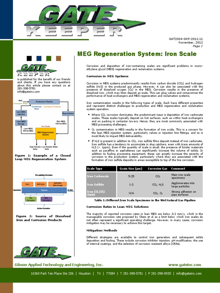 GAT2004 GKP 2012.12 MEG Regeneration Systems Iron Scale | PDF ...