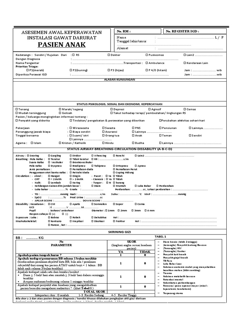 FORM. Asesmen Awal Keperawatan Anak Igd | PDF
