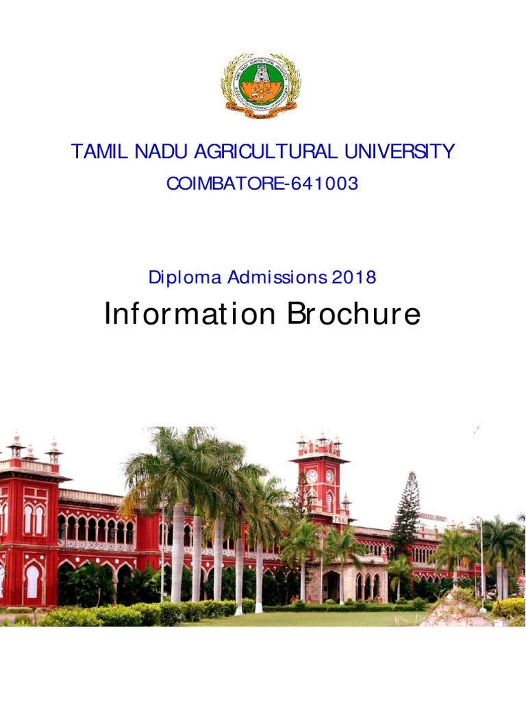 Diploma Brochure 2018 | PDF | University And College Admission | Business