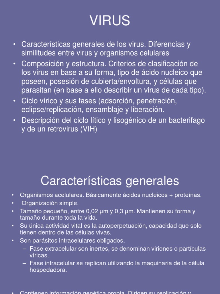 Power Virus | PDF | Virus | Rna