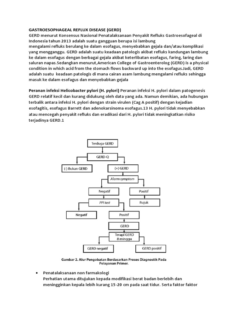 Tugas Algoritma Gerd | PDF