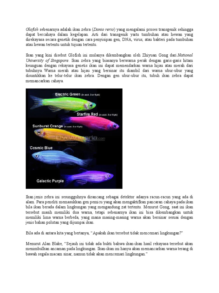 GloFish: Ikan Zebra Transgenik Bercahaya | PDF | Ilmu Biologi | Biologi