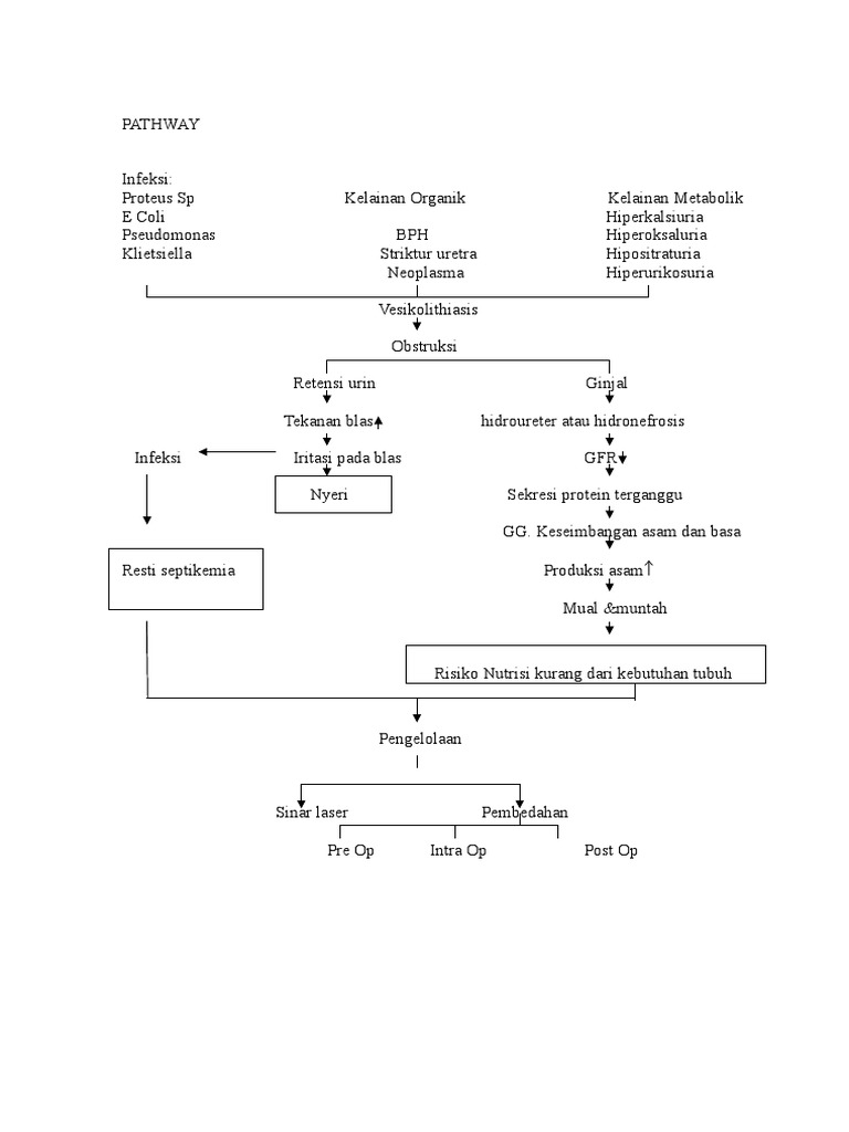 Pathway Vesikolithiasis | PDF