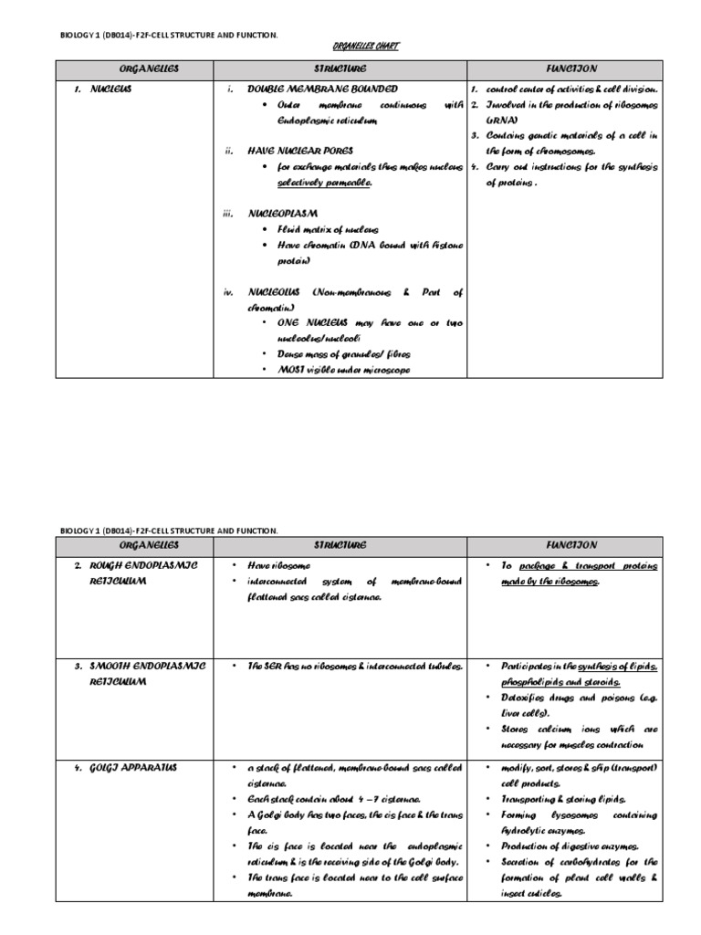 Organelles Chart FOR Student | PDF | Endoplasmic Reticulum | Ribosome