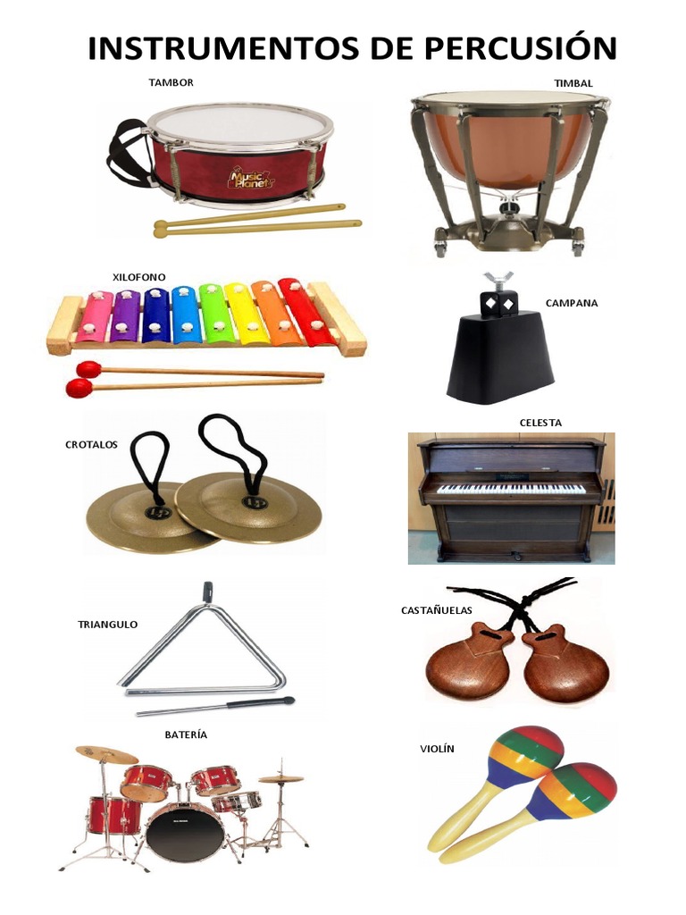 Instrumentos de Cuerda, Percusion, Viento, Autoctonos | PDF