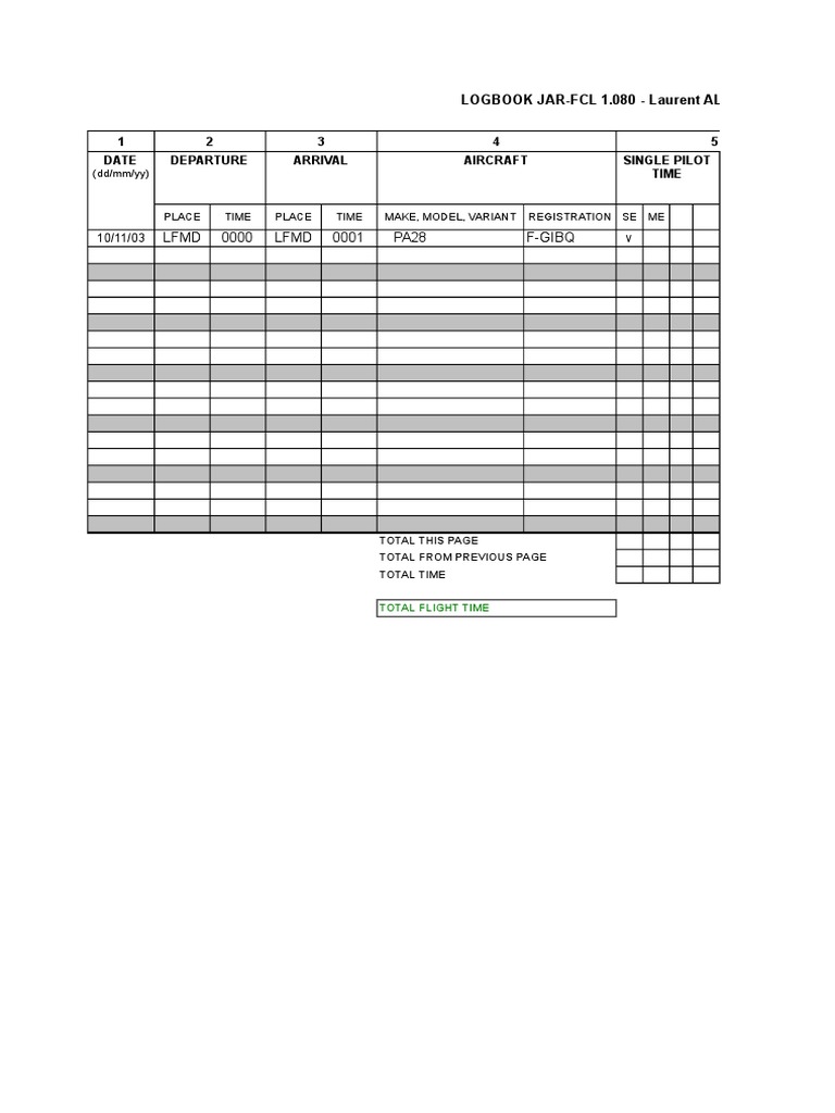Template For Pilot Logbook | PDF | Instrument Flight Rules | Aerospace