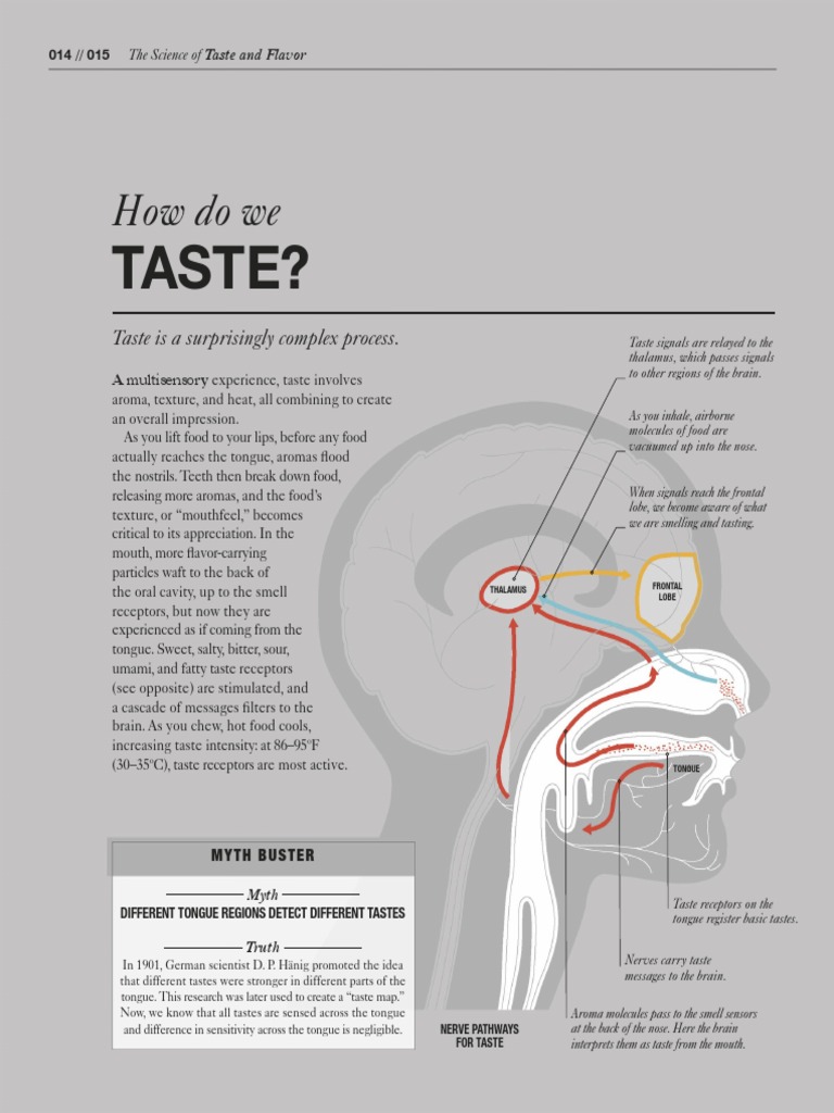 Taste?: How Do We | PDF | Taste | Olfaction