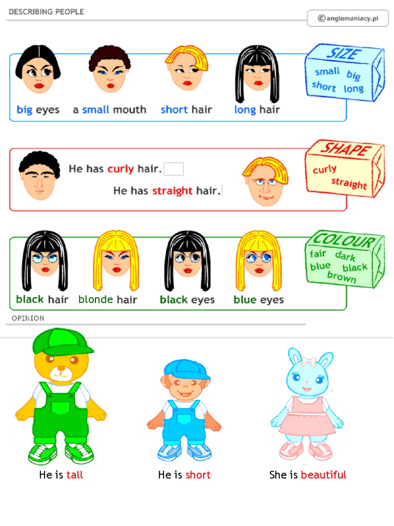 Physical Description Explanation | PDF