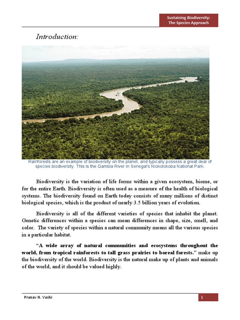 Sustaining Biodiversity - EVS Project | PDF | Biodiversity | Extinction