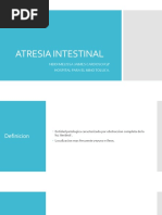 Admin,+32 Atresia+Del+Recto 16 | PDF | Especialidades Medicas | Anatomía