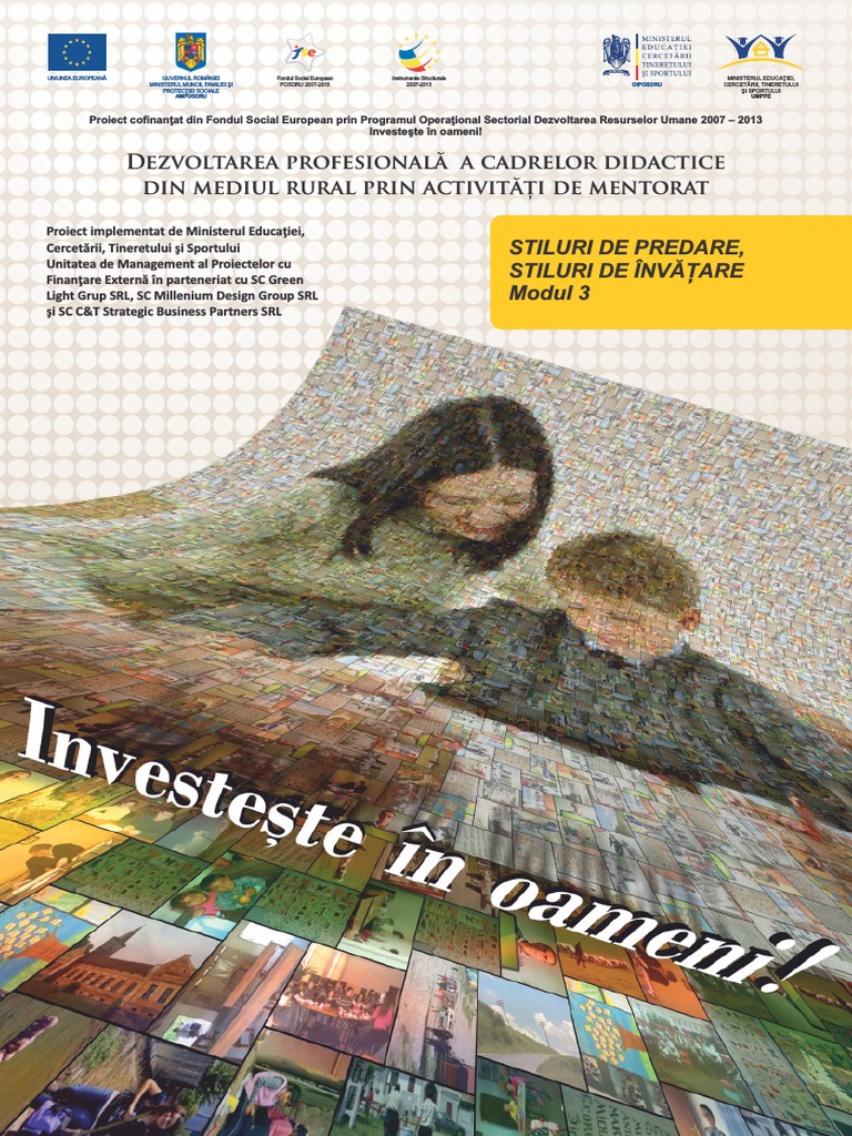 Modul - 3 - Stiluri Invatare - Final PDF | PDF