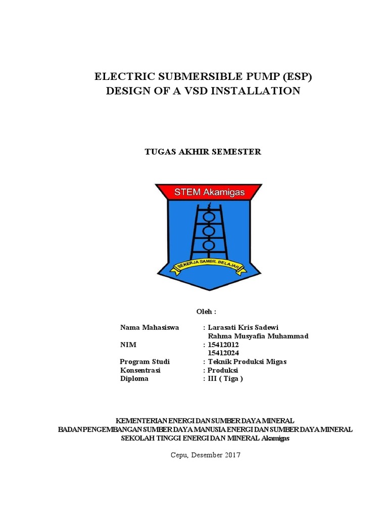 Electric Submersible Pump (Esp) Design of A VSD Installation | PDF ...