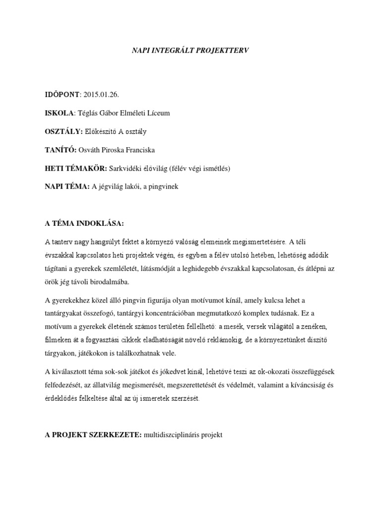 Napi Integrált Projektterv | PDF
