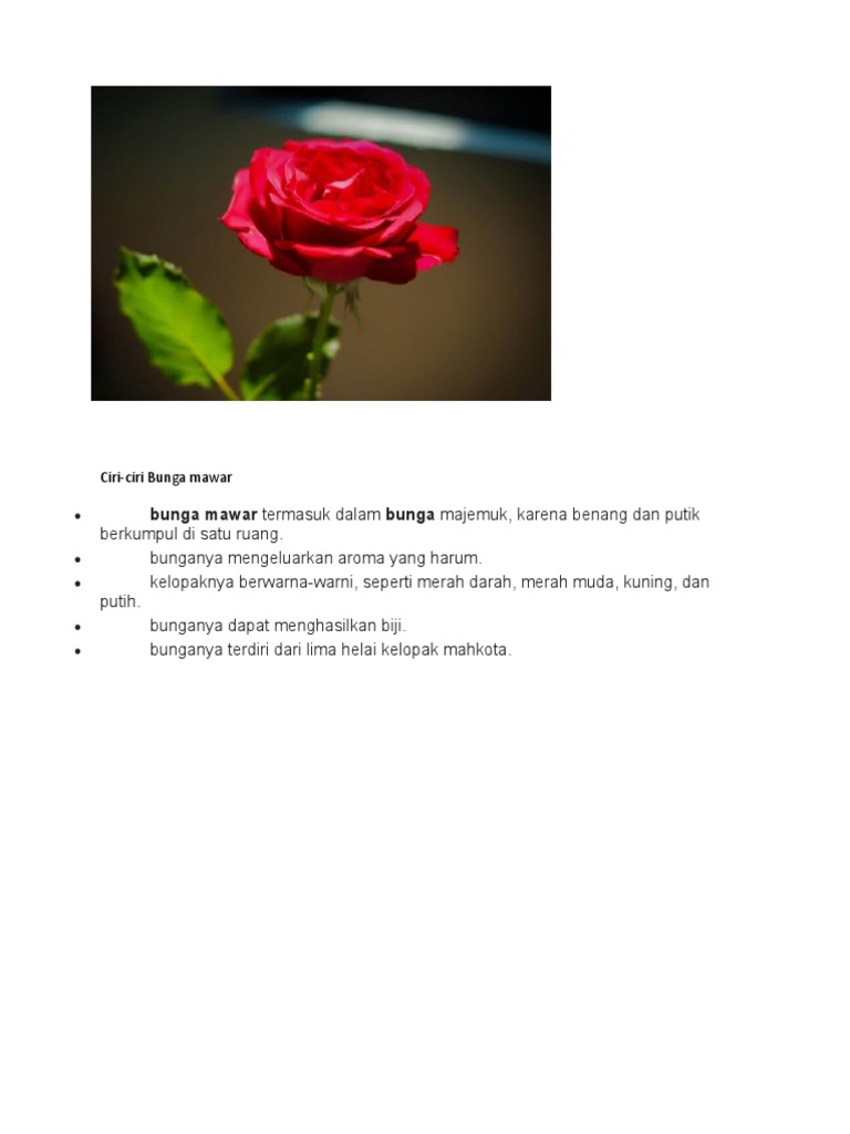 Ciri Bunga Mawar | PDF