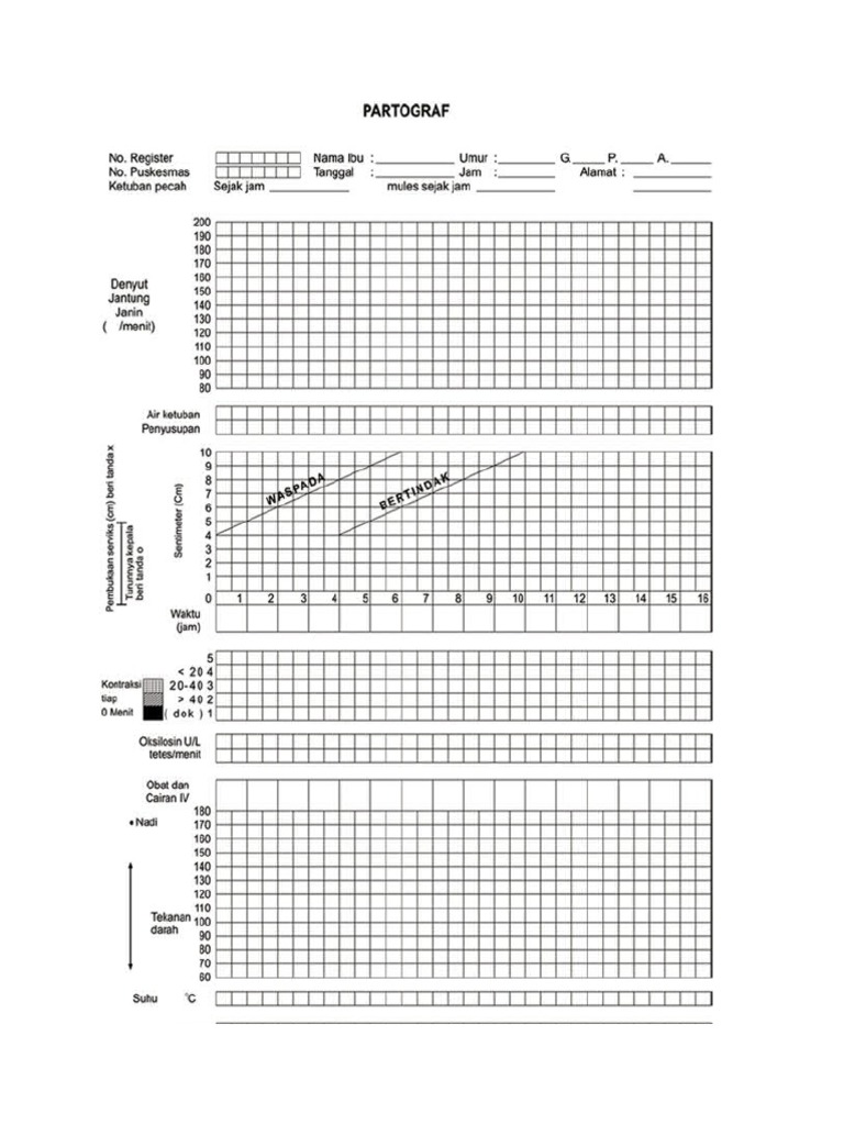 Partograf | PDF