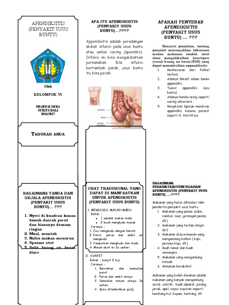 Leaflet Apendiks | PDF