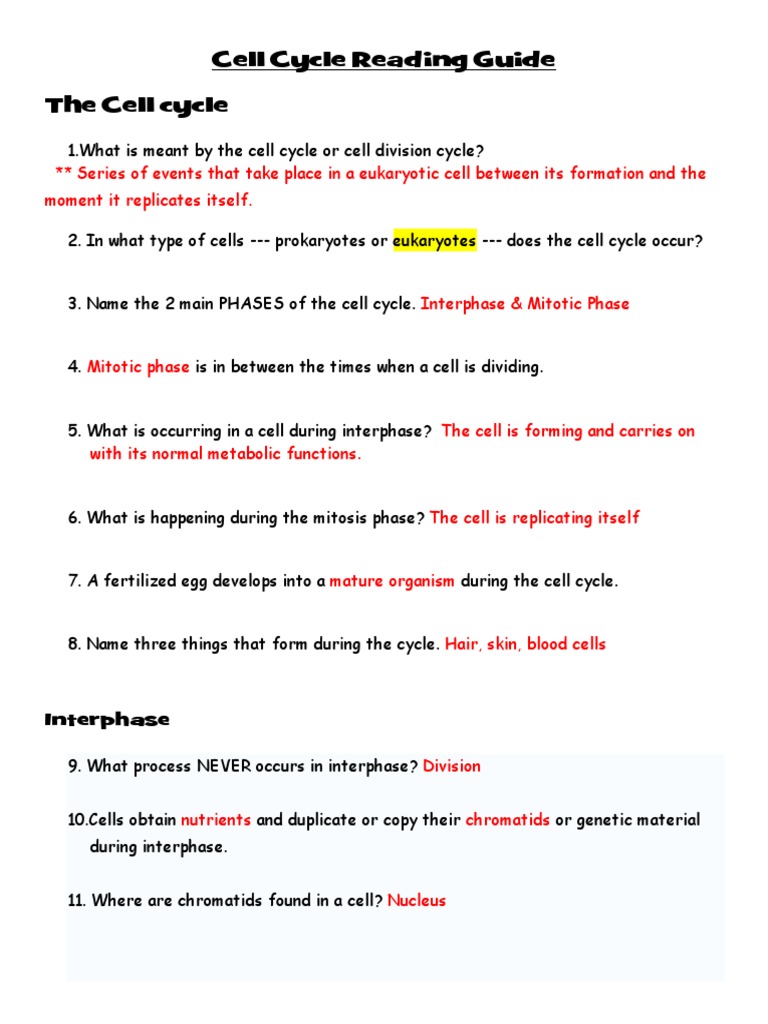 PDF | PDF | Mitosis | Cell Cycle