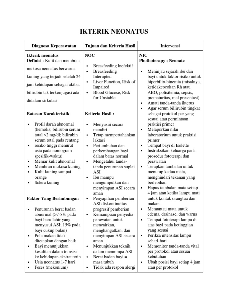 DX - Ikterik Neonatus | PDF