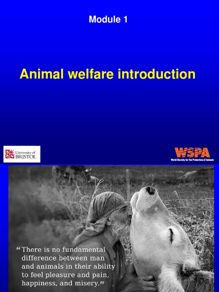 Module 1 Animal Welfare Introduction | PDF | Animal Welfare | Ethology