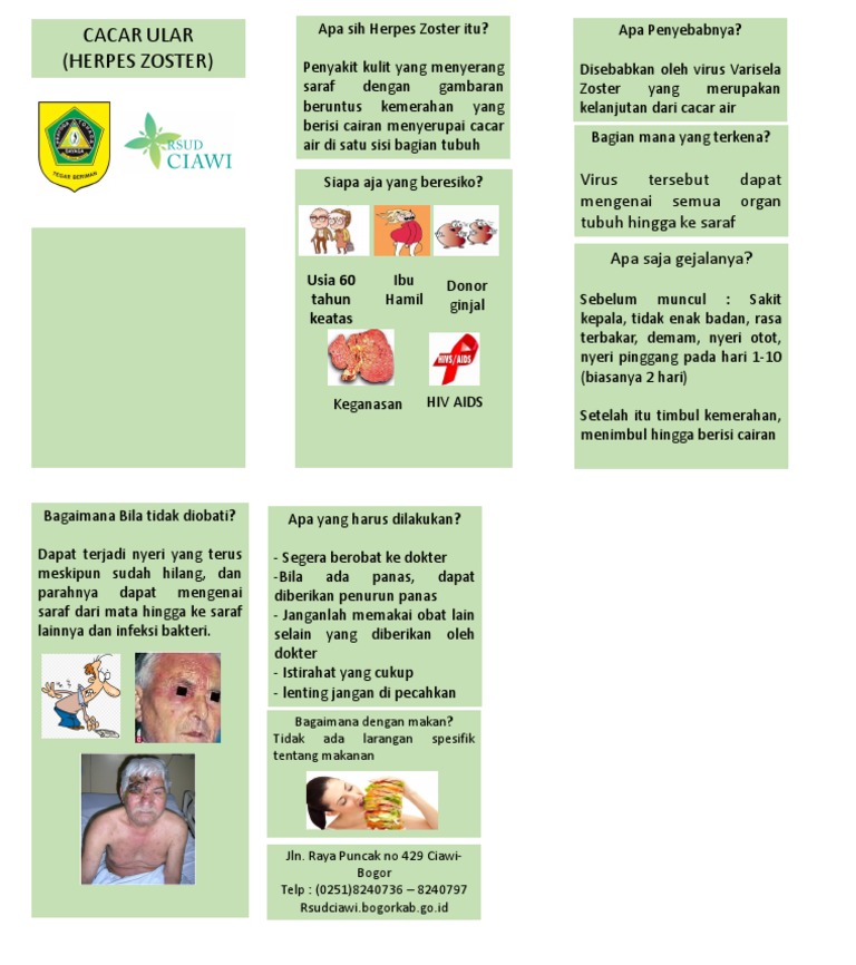 Leaflet Herpes Zoster | PDF