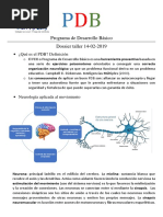 Escala de Equilibrio de Berg | PDF | Ocio | Deportes