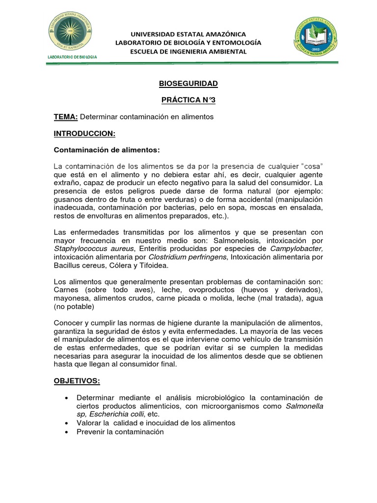 Practica de Laboratorio N°3 | PDF | Enfermedades transmitidas por alimentos | Alimentos