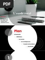 Exode Rural : Définition et Solutions | PDF | Zone rurale | Agriculture