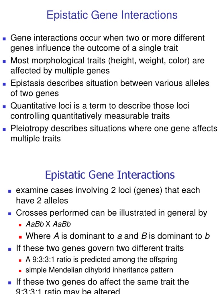Epistatic Gene Interactions | PDF | Epistasis | Phenotypic Trait