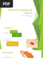 Prúrigo Por Insectos | PDF