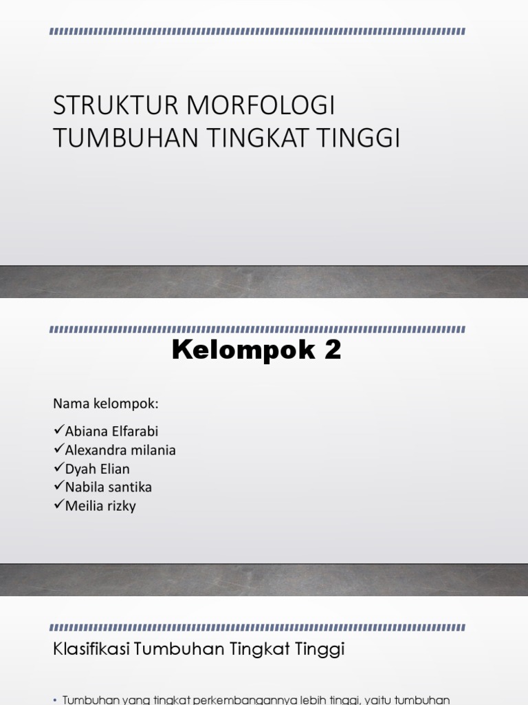 Struktur Morfologi Tumbuhan Tingkat Tinggi-1 | PDF