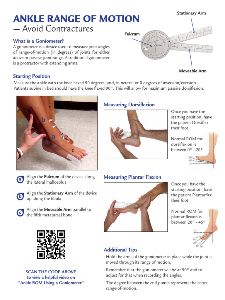 Ankle Goni Ometer | PDF | Anatomical Terms Of Motion | Foot