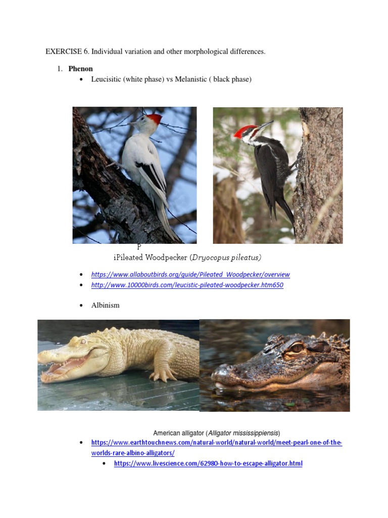 Exercise 6 New | PDF | Pupa | Elephant