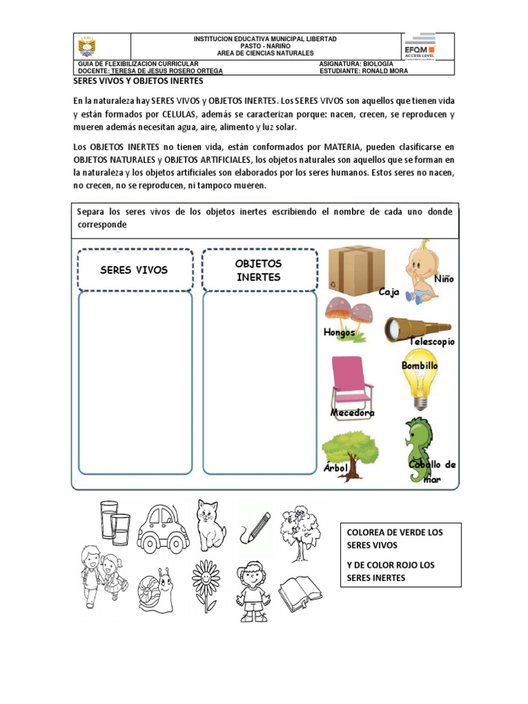 Seres Vivos y Objetos Inertes Guia Ronald | PDF